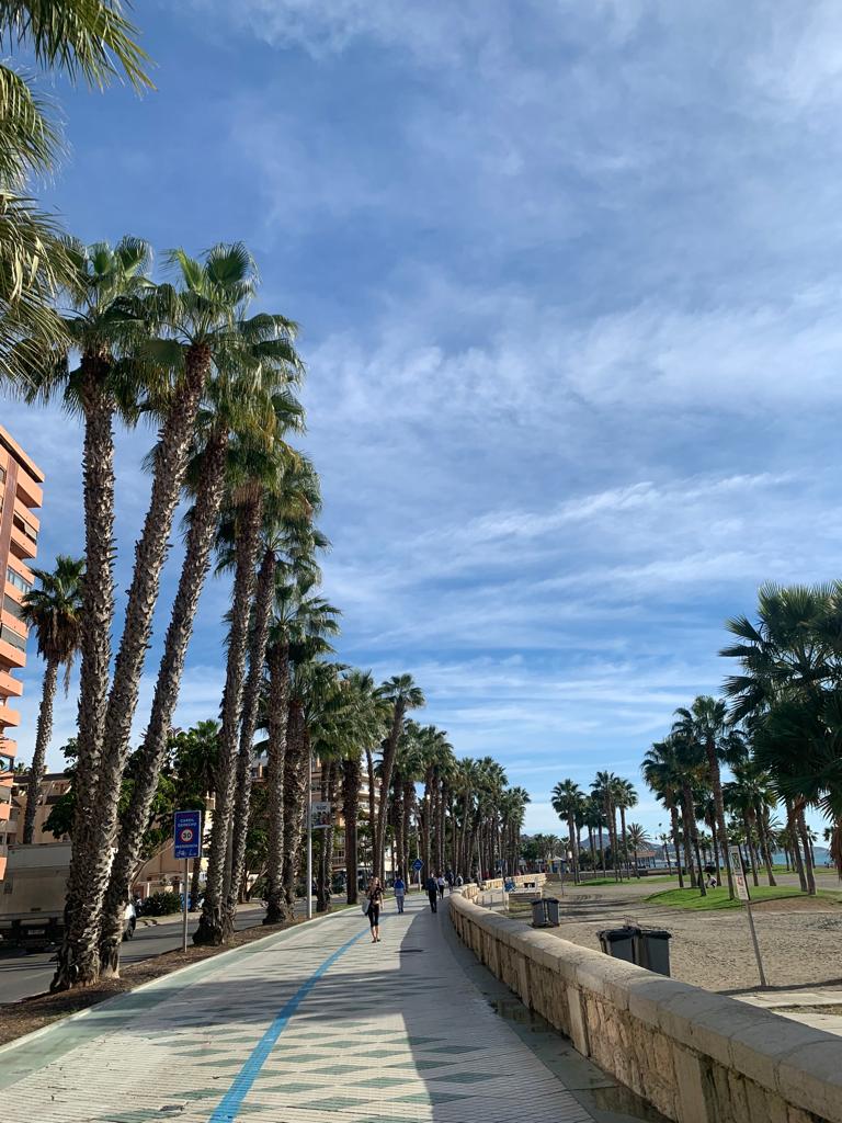 1 Day with Málaga Sun Apartments! - Blog